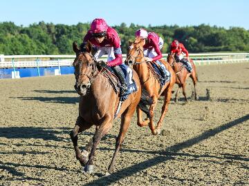 Doncaster Races | Doncaster Racecourse | Exhibition Centre