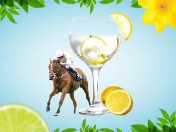 Doncaster Races | Doncaster Racecourse | Exhibition Centre