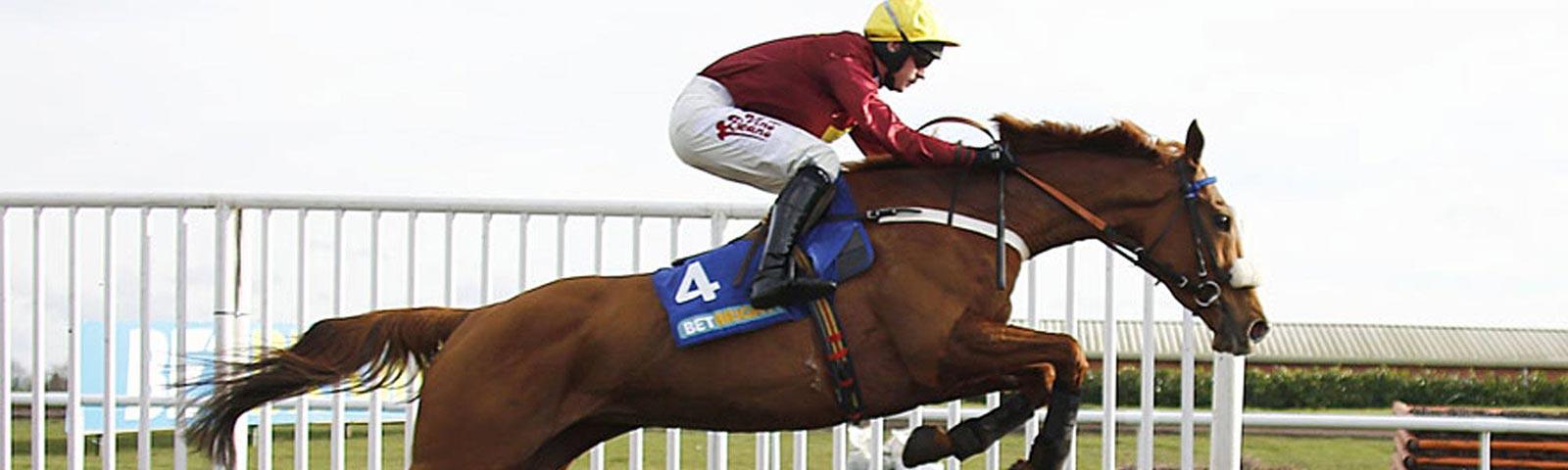 Doncaster Races | Doncaster Racecourse | Exhibition Centre