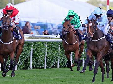 FAQs | Frequently Asked Questions | Doncaster Racecourse